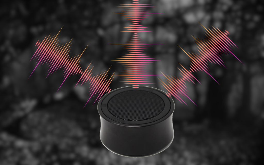 Comparing the X1 Speakers- Which is best for you? – Ghost Hunters Equipment by GHOST AUGUSTINE